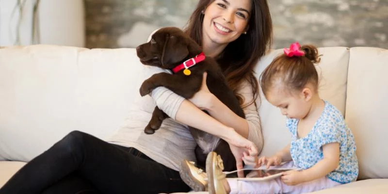 The Most Common Household Pests In Michigan | Grosse Ile Lawn Sprinkler ...